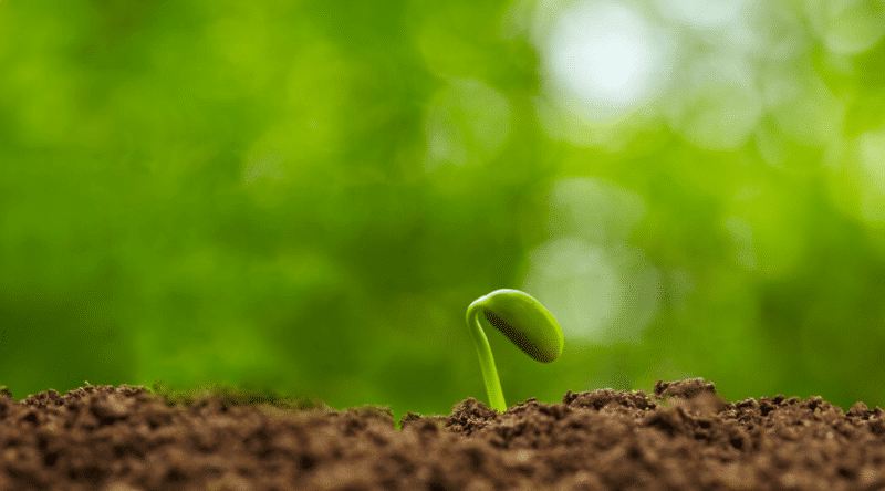 About Mekari (PT Mid Solusi Nusantara)