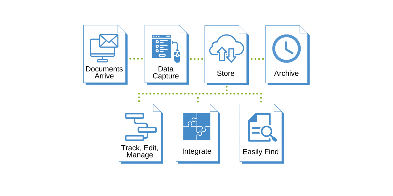 What Is a File Management System and Why Your Business Needs One